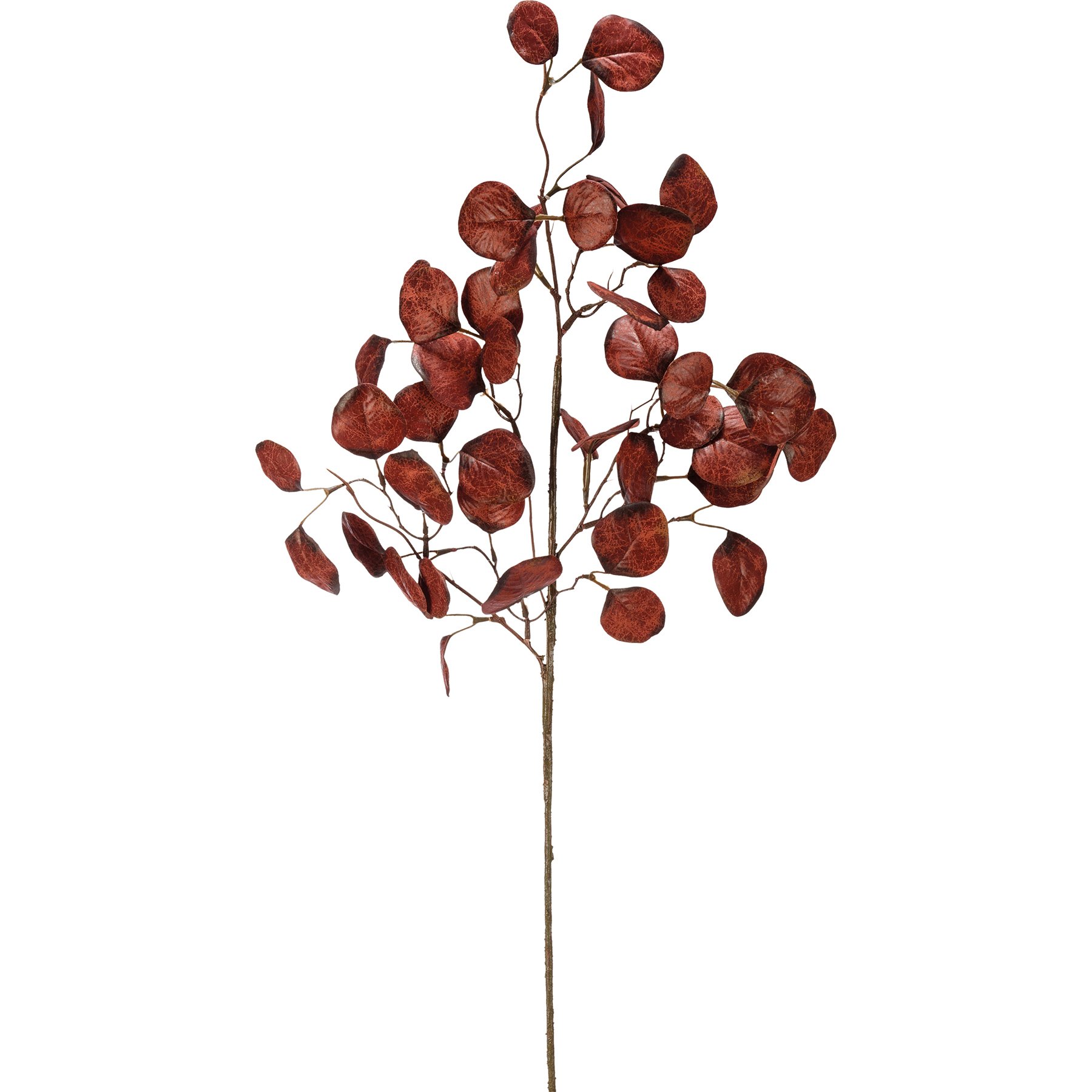 Burgundy Eucalyptus Floral Pick | Primitives By Kathy