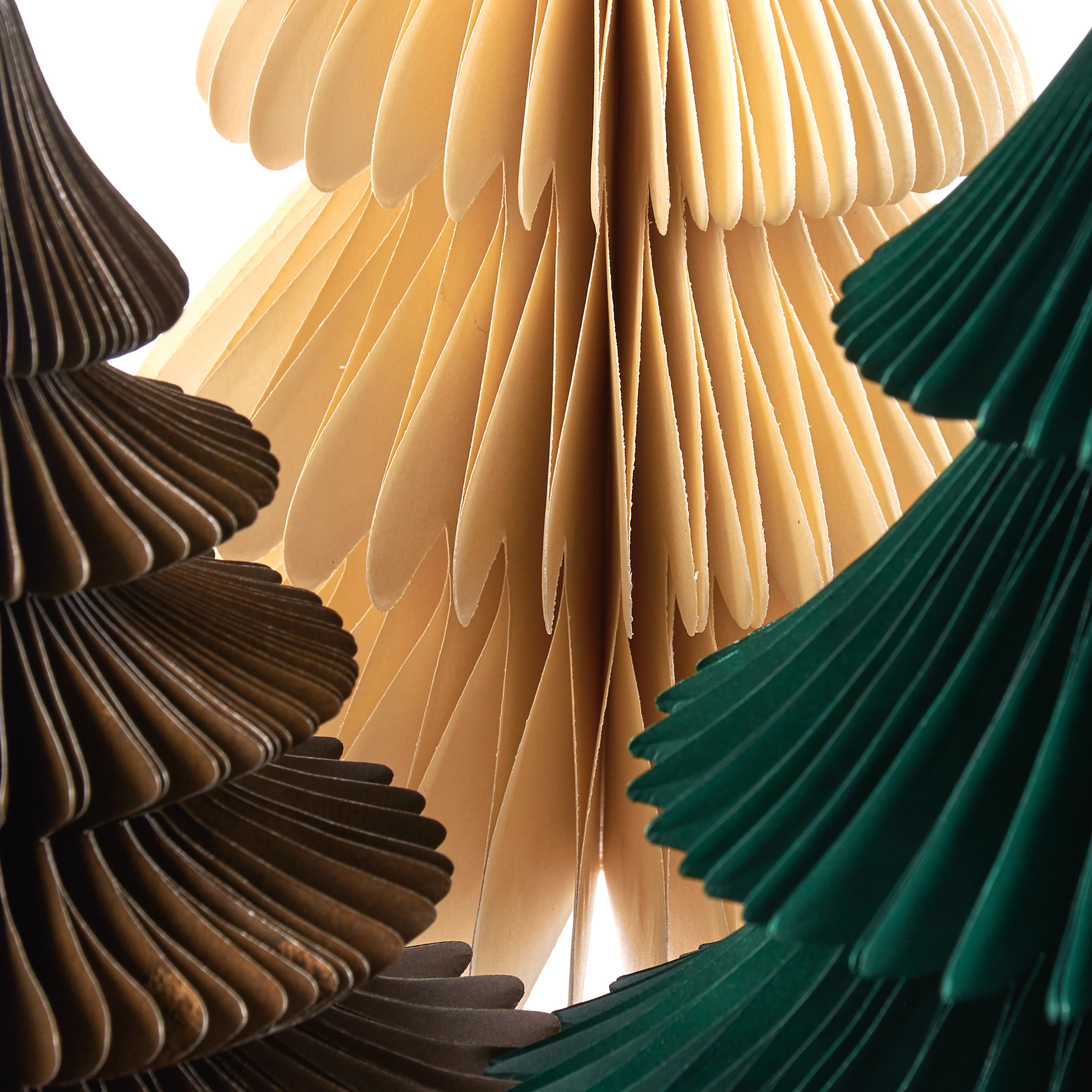 Trio Paper Tree Set | Primitives By Kathy