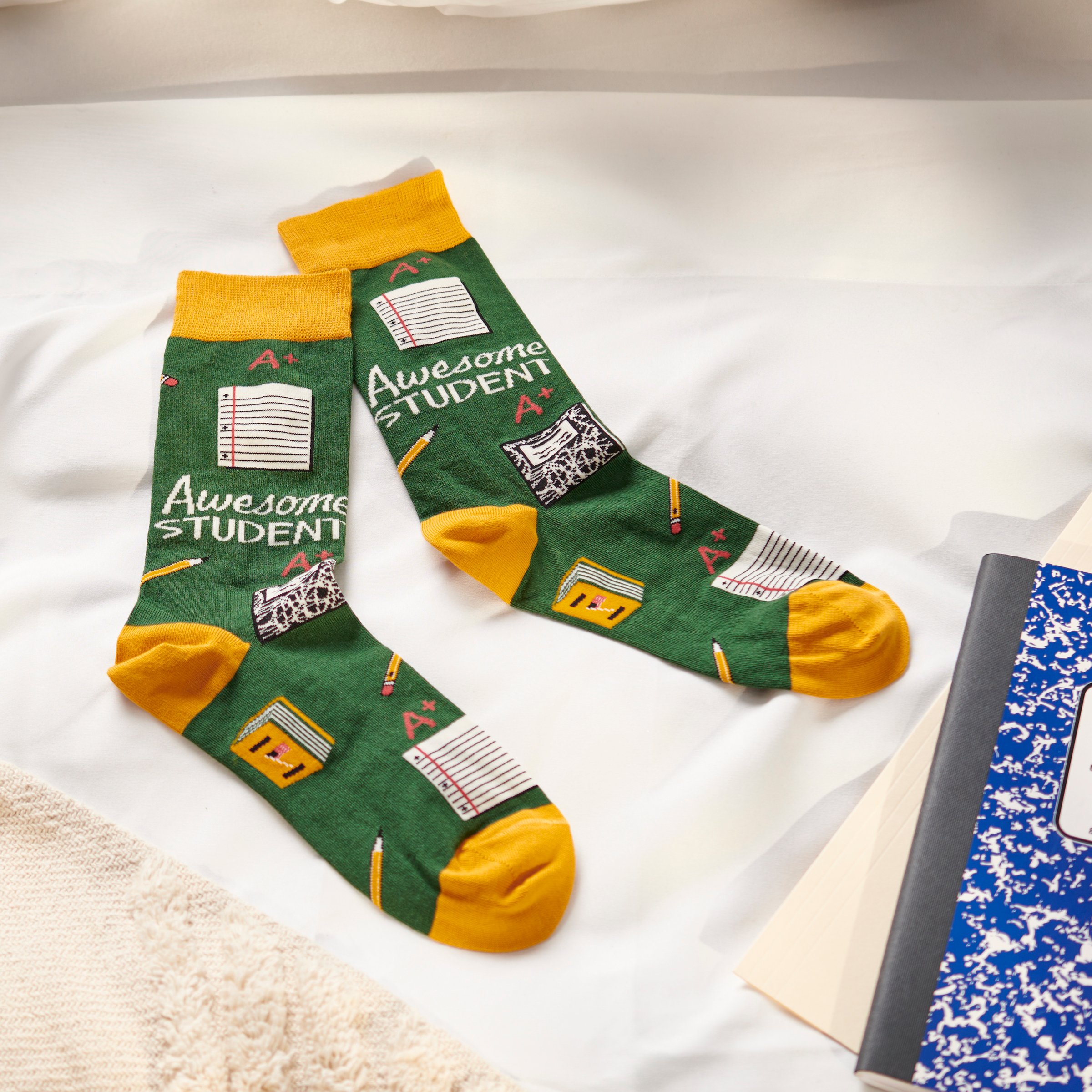 Awesome Student Socks | Primitives By Kathy