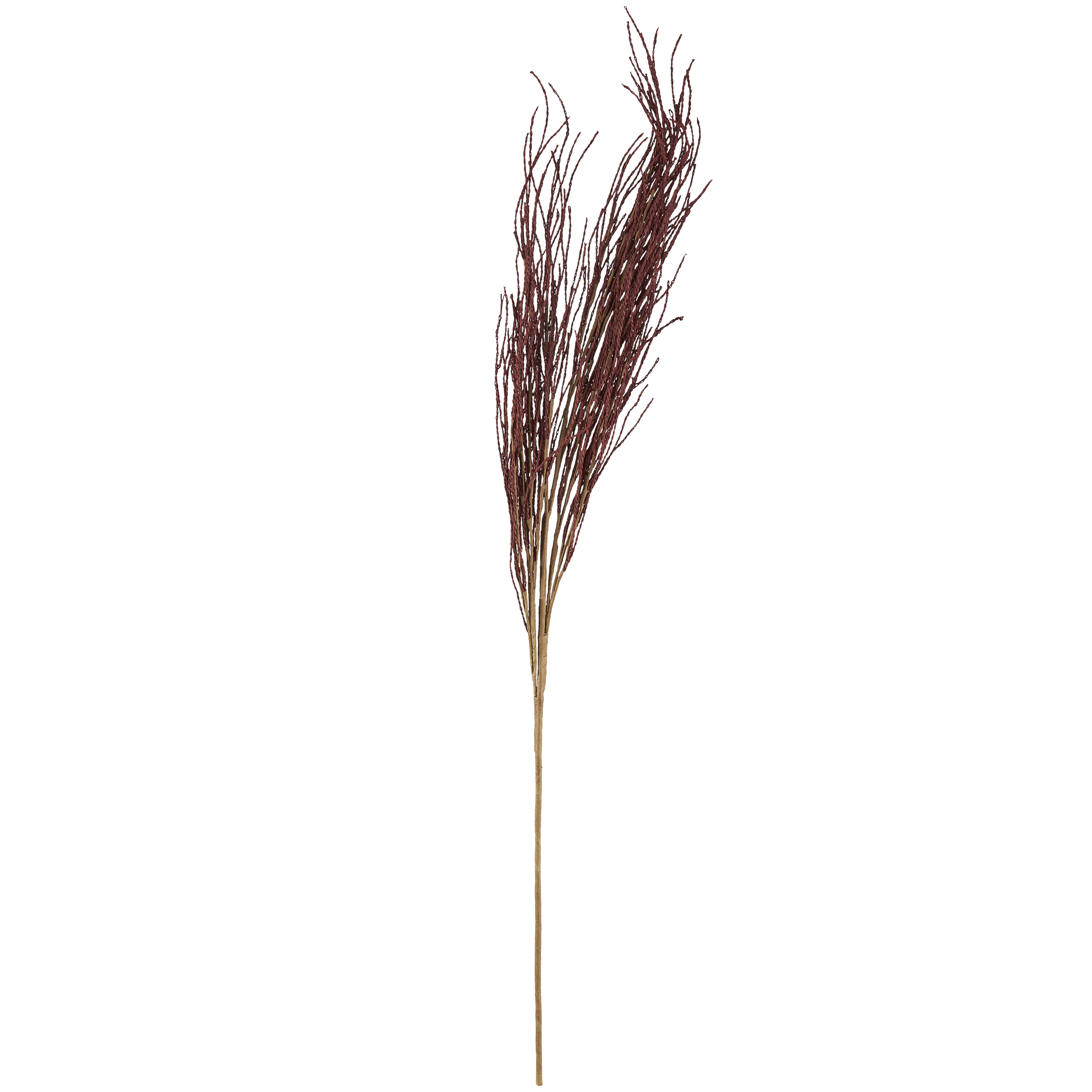 Maroon Pampas Floral Pick | Primitives By Kathy