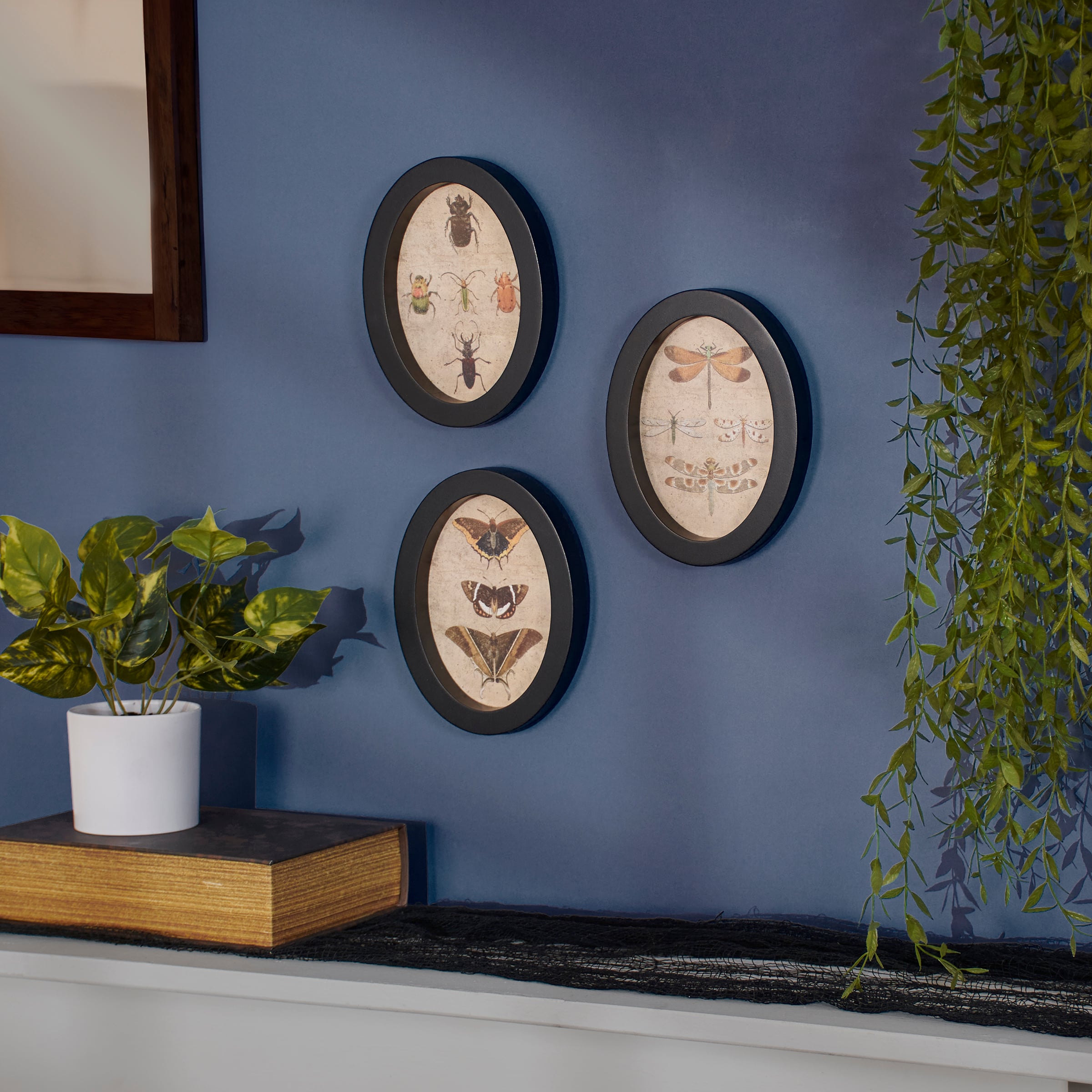 Insect Study Hanging Decor Set | Primitives By Kathy