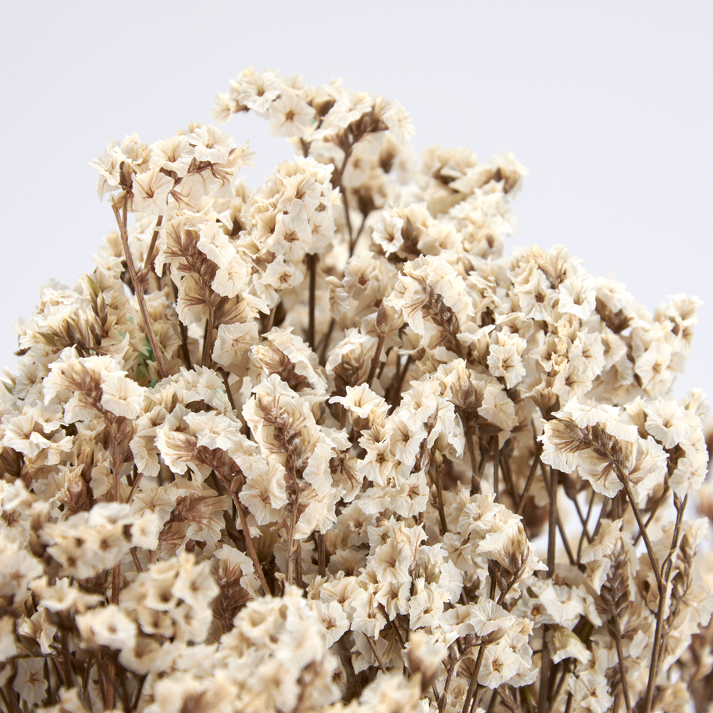 Cream Dried Flower Bouquet | Primitives By Kathy