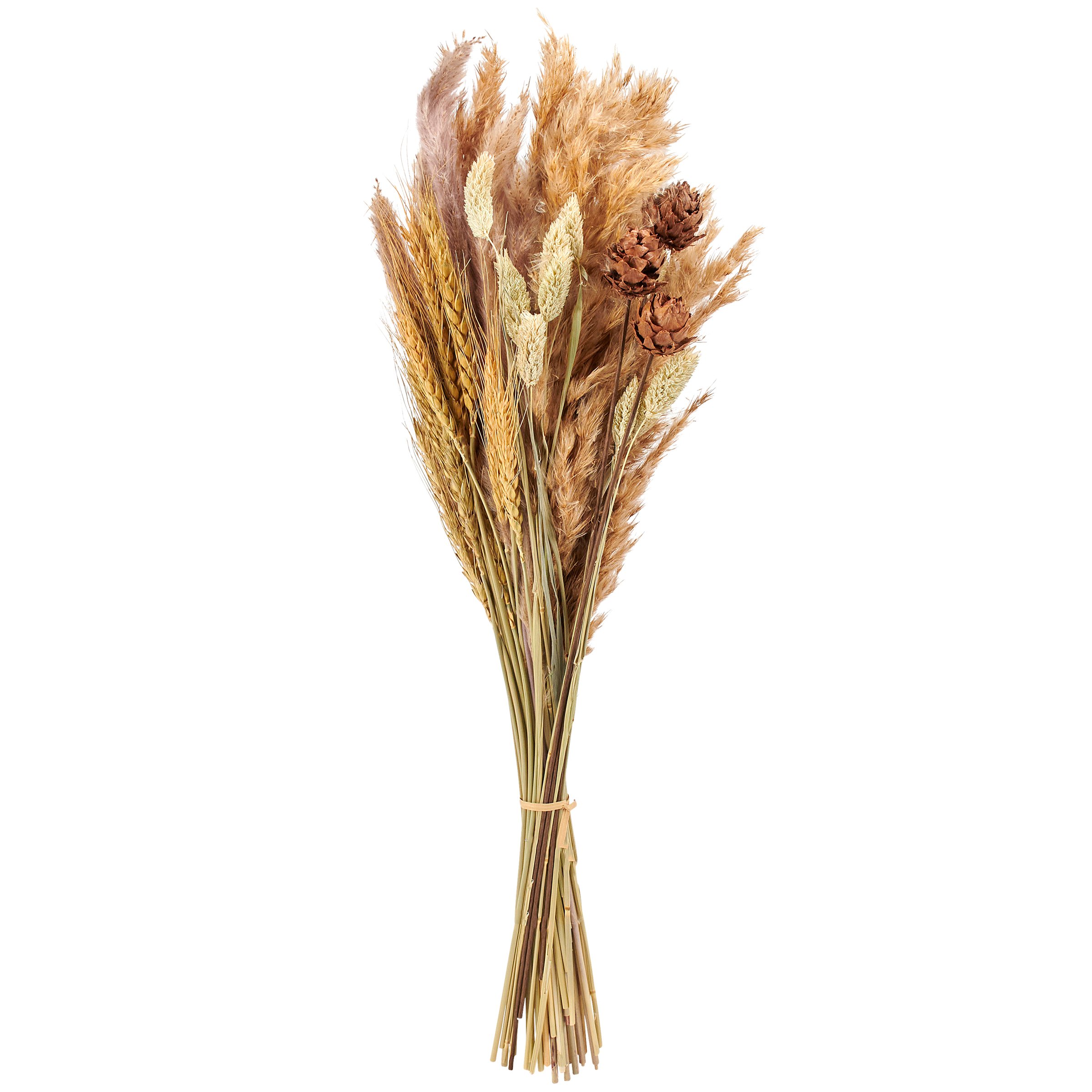 Mixed Reed Bouquet | Primitives By Kathy