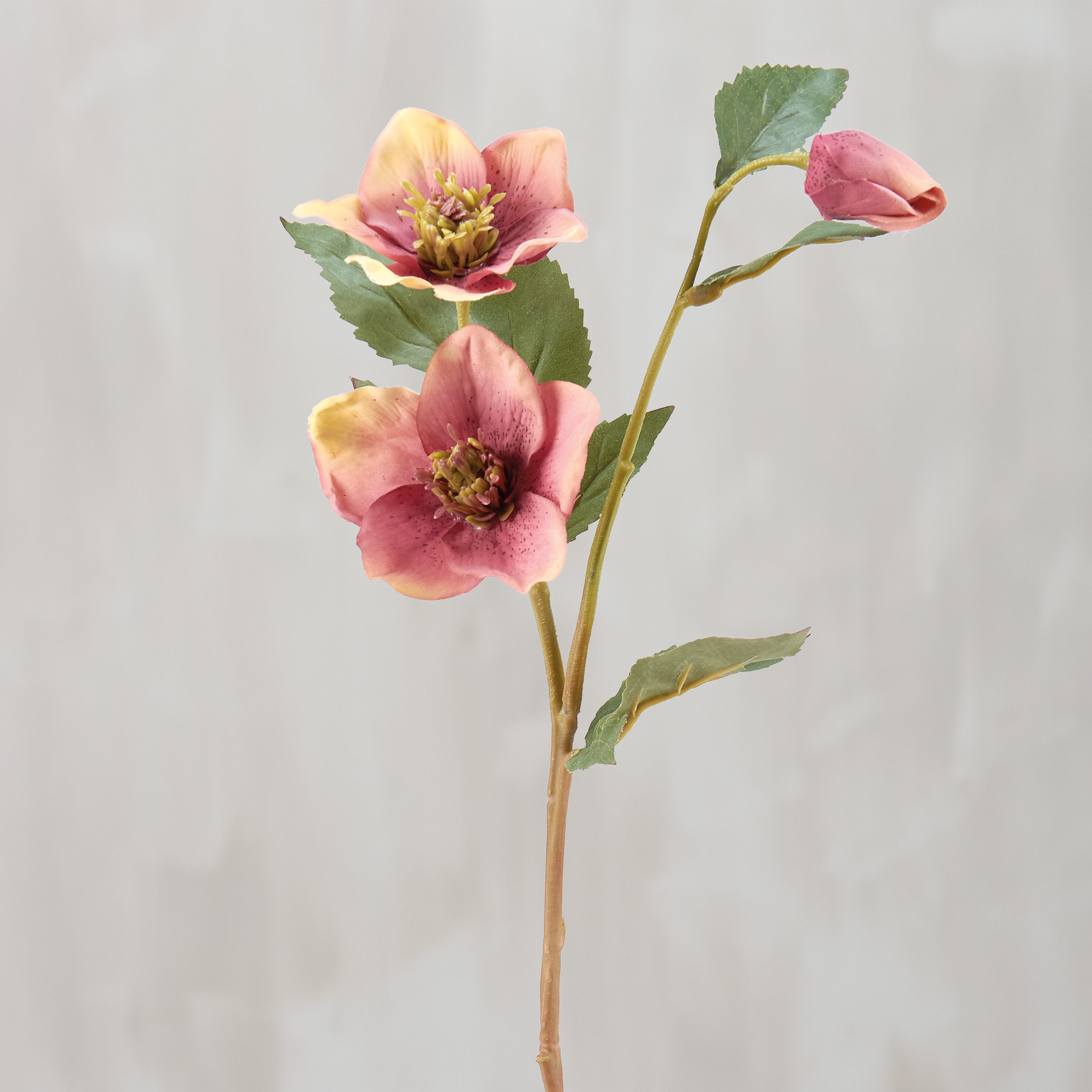Pink Hellebore Floral Pick | Primitives By Kathy