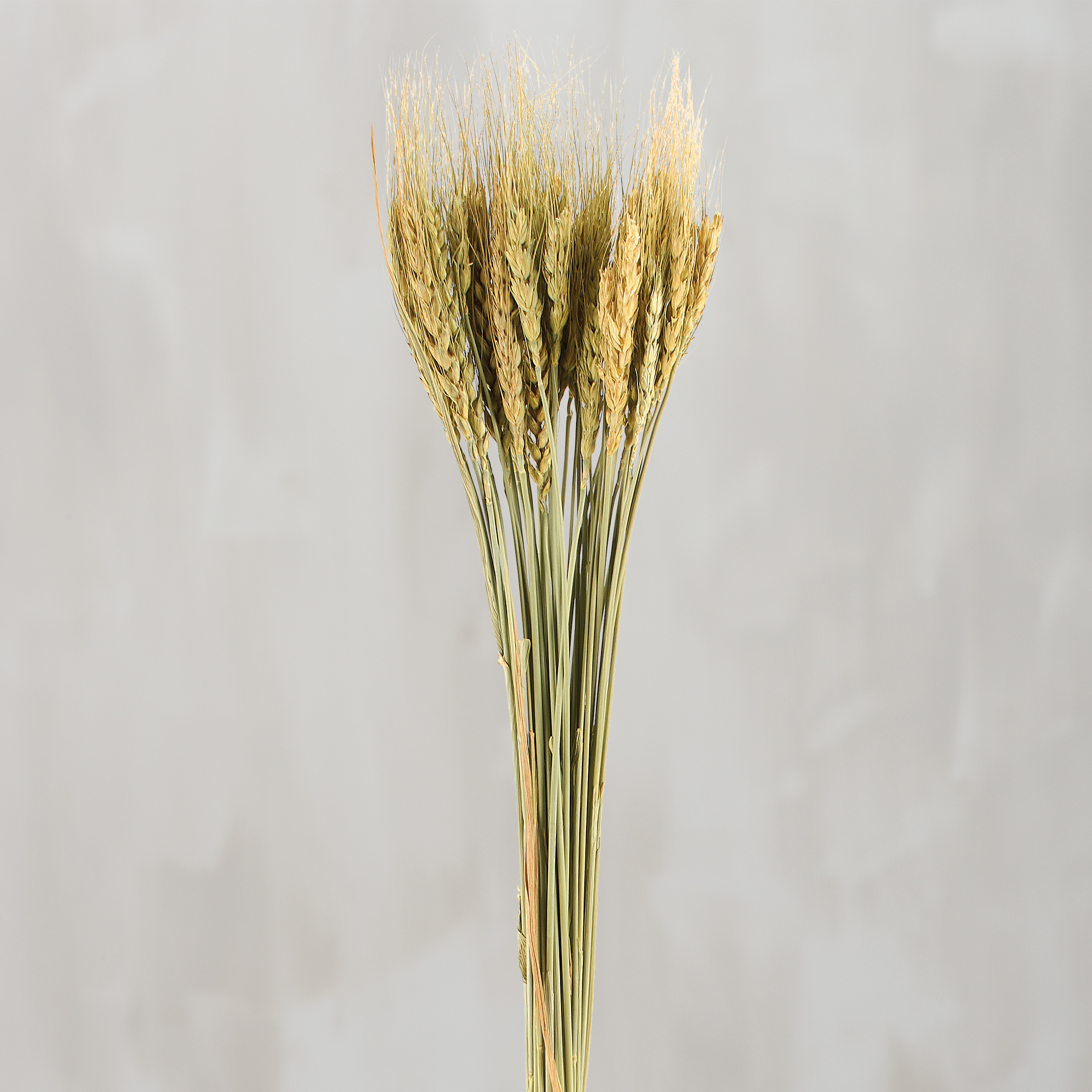 Wheat Grass Bouquet | Primitives By Kathy